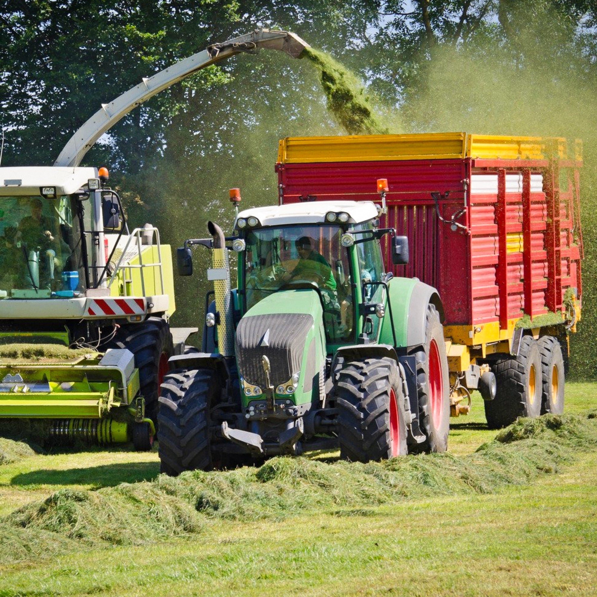 Silage Grass Seed Mixtures – Kent Seeds