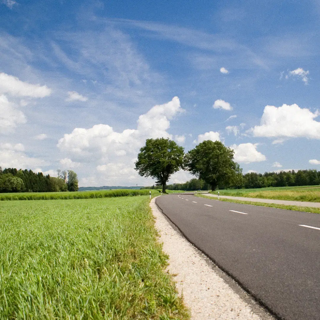 DOT Road Verge And Embankment Grass Seed – Kent Seeds