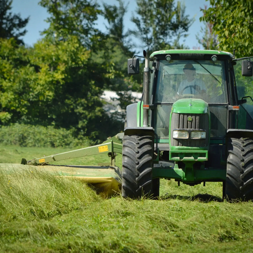 Supercut Italian Intensive Silage Ley – Kent Seeds