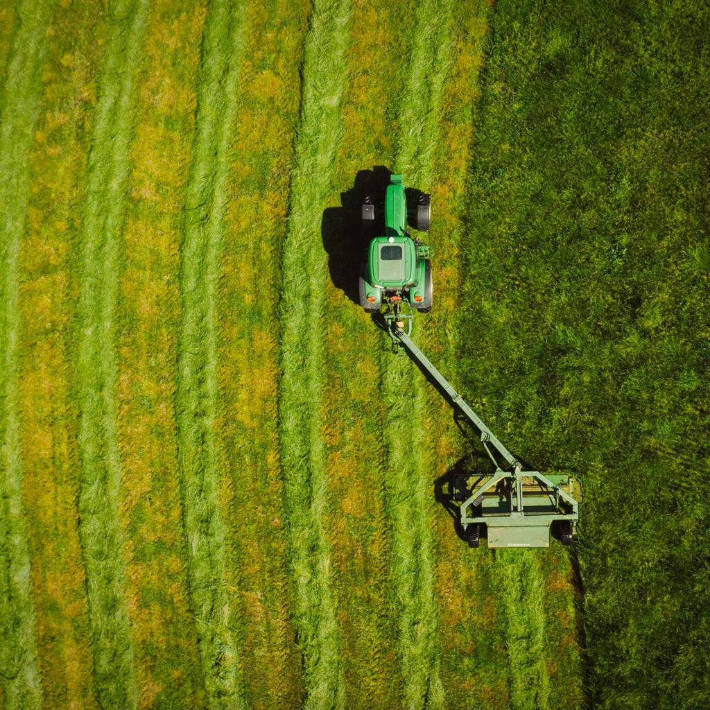 Supercut Plus High-Output Silage Ley – Kent Seeds