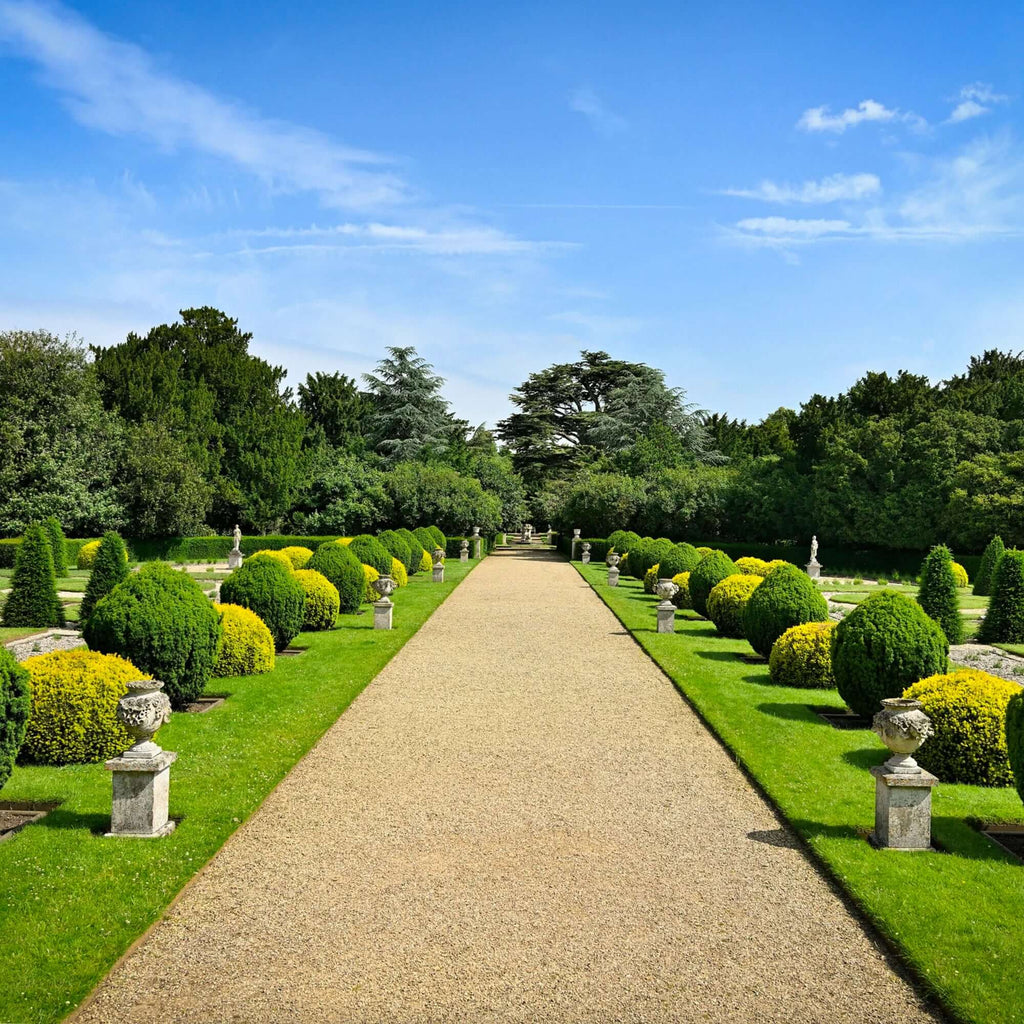Formal Garden Lawn Grass Seed – Kent Seeds
