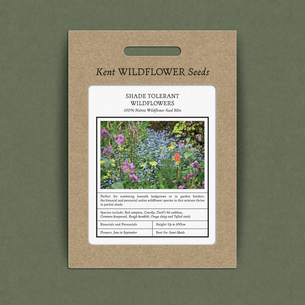 Shade Tolerant Wildflower Mix – Kent Seeds